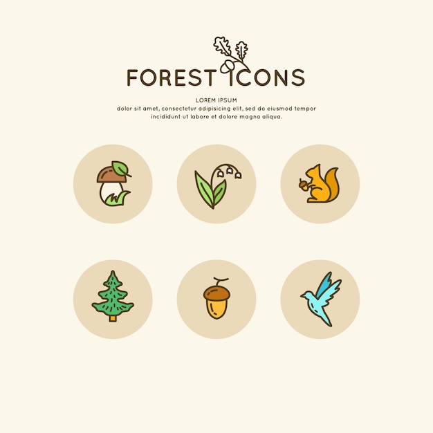 Whimsical Forest Symbols in Earthy Tones and Playful Style | Jiffy Designs