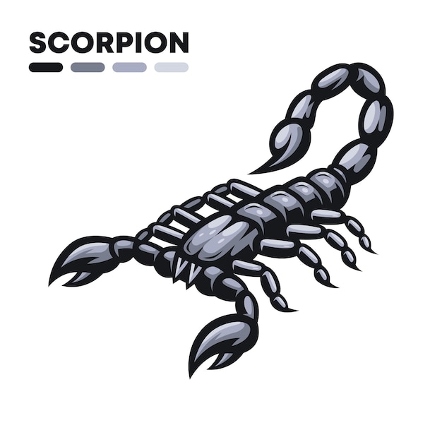 Fierce and Formidable Scorpion Illustration | Jiffy Designs