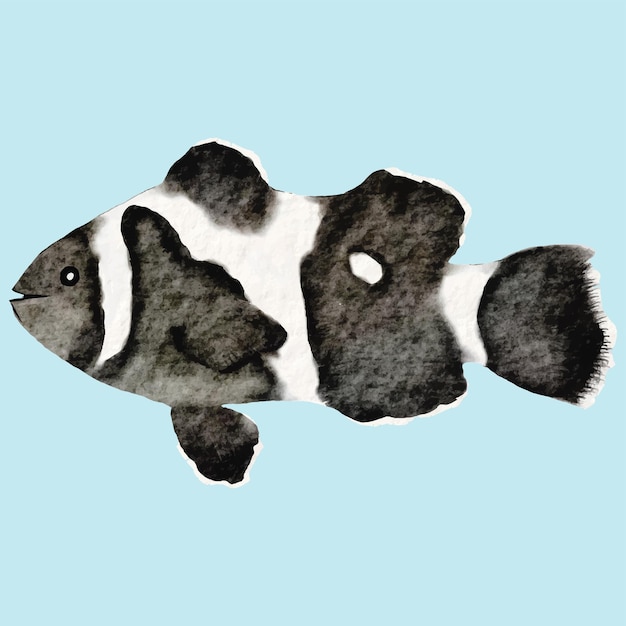 Whimsical Clownfish in Shades of Gray | Jiffy Designs