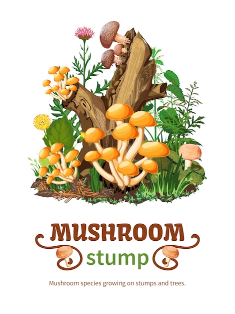 Vibrant Mushroom Stump Illustration with Fungi and Foliage | Jiffy Designs