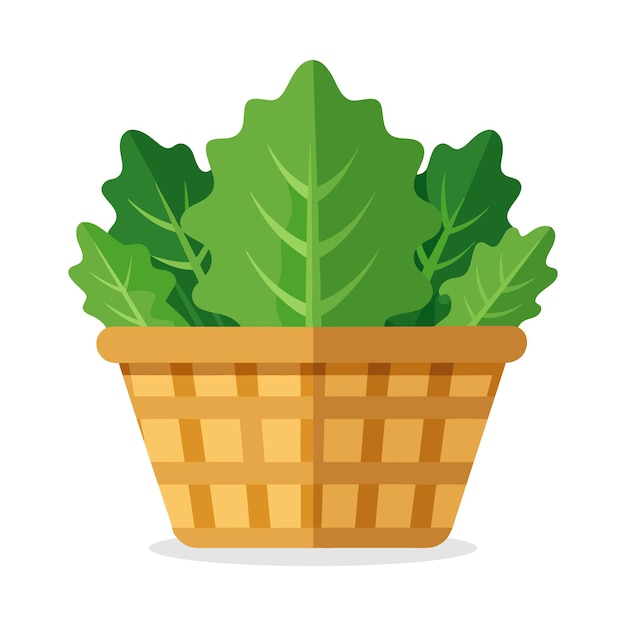 Fresh Green Leafy Vegetables in Woven Basket | Jiffy Designs