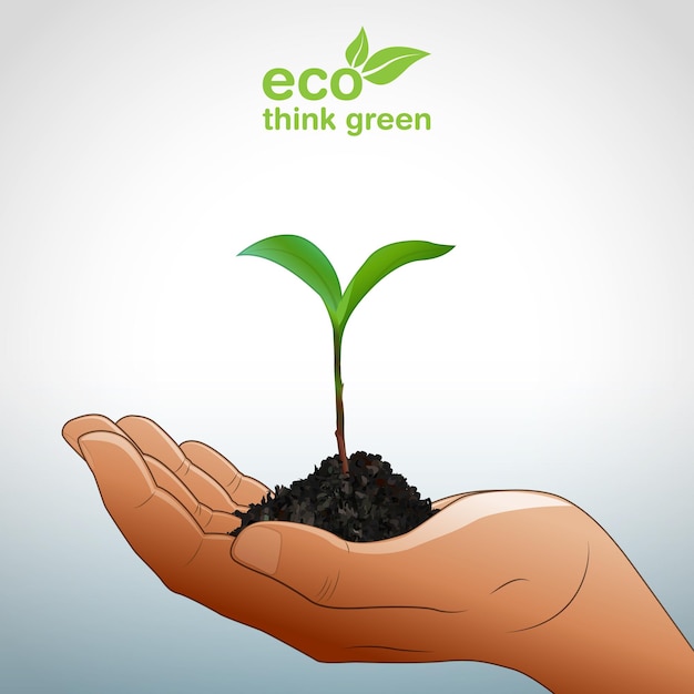 Eco Think Green Concept with Seedling in Hands | Jiffy Designs