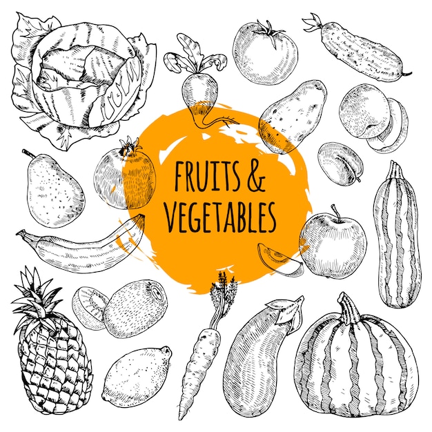 Fruits and Vegetables Illustration with Detailed Sketches | Jiffy Designs