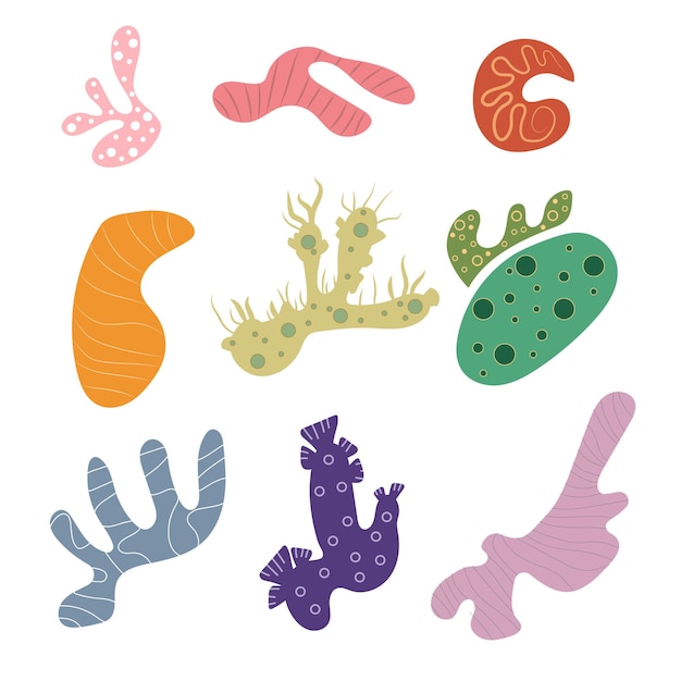 Vibrant Collection of Whimsical Organic Shapes and Forms | Jiffy Designs