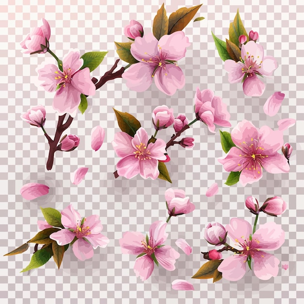 Vibrant Collection of Delicate Cherry Blossom Flowers | Jiffy Designs