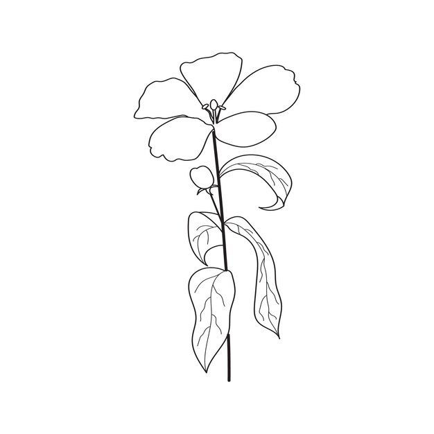 Elegant Botanical Outline of a Delicate Flower | Jiffy Designs