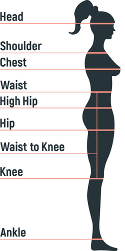Female Size Chart Anatomy Human Character, People Dummy Front And View ...