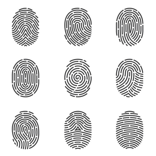 Nine Grey Fingerprint Types Detailed Set | Jiffy Designs