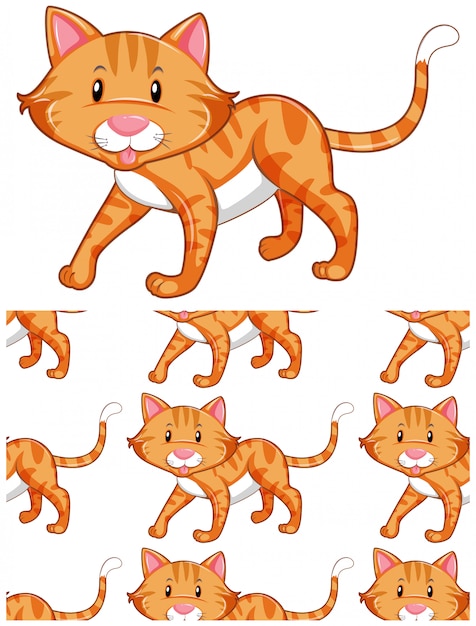 Charming Orange Tabby Cat Illustrations for Versatile Design Use ...