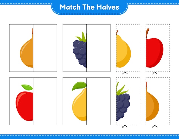 Vibrant Fruit Collection: Matching Halves of Apples, Oranges, and ...