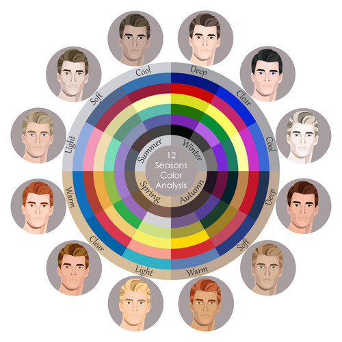 Stock Vector Seasonal Color Analysis Palette For All Types Of Male ...