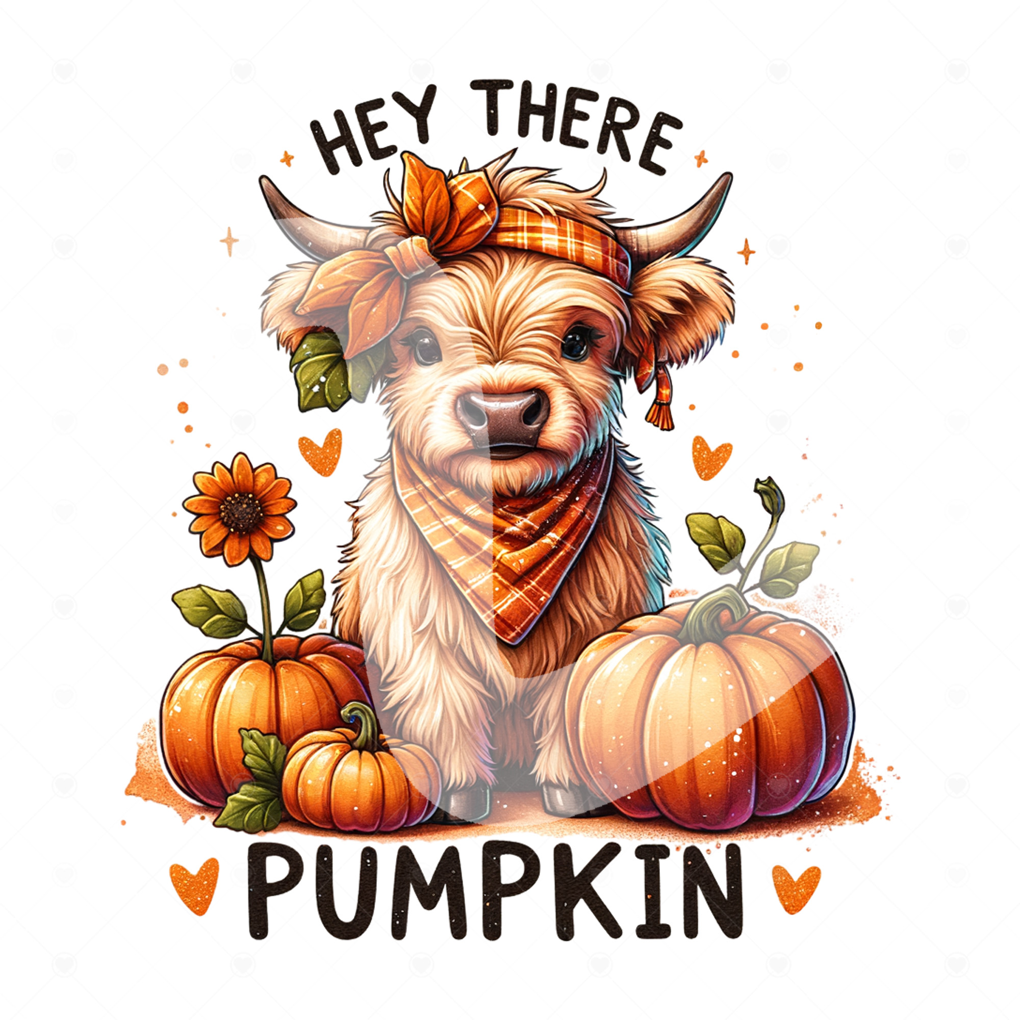 'Hey There Pumpkin' Adorable Highland Cow Amidst Autumn Harvest Scene ...