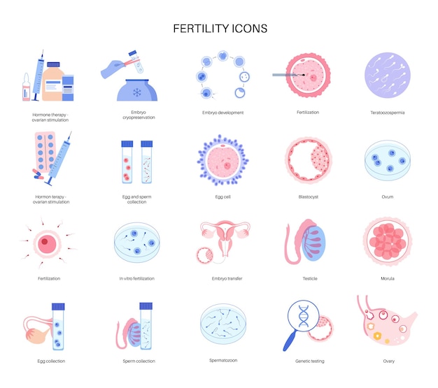 Vibrant Fertility Symbols: A Diverse Iconography of Conception | Jiffy ...