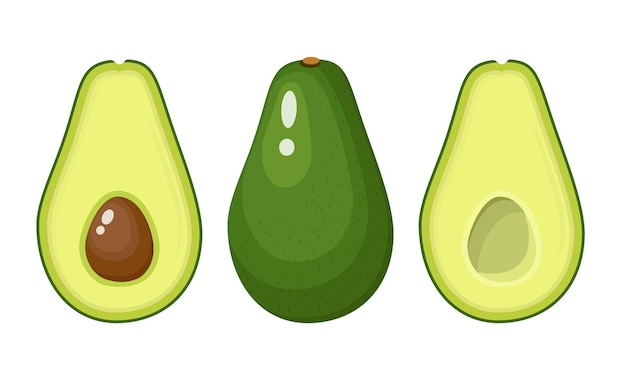 Vibrant Avocado Collection: Diverse Shapes and Textures | Jiffy Designs