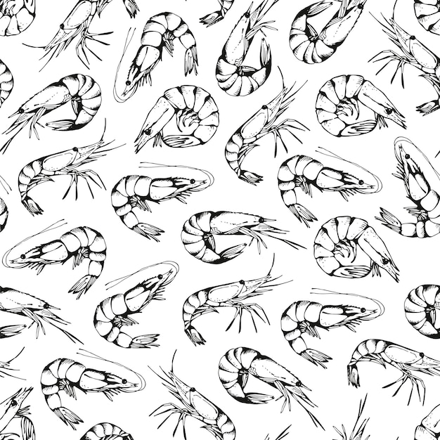 Captivating Collection of Vibrant Shrimp Illustrations | Jiffy Designs