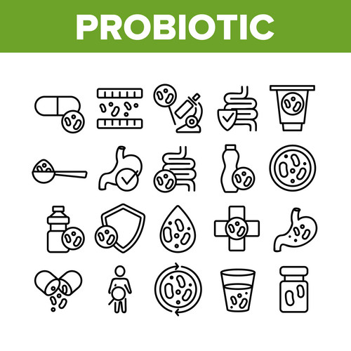 Probiotic Bacteria Collection Icons Set Vector Thin Line. Intestinal ...