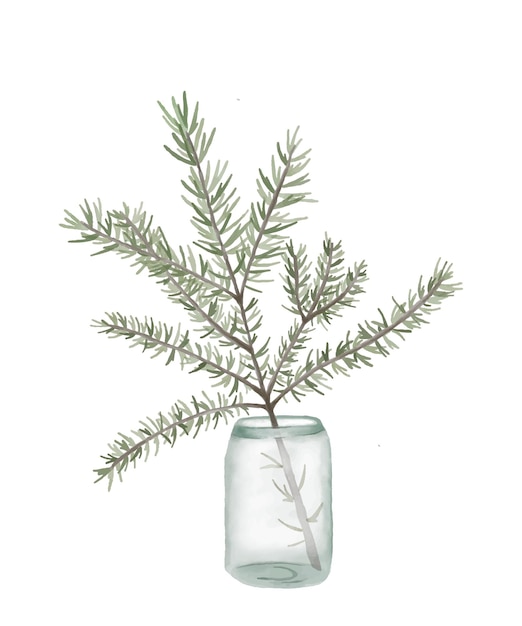 Delicate Evergreen Sprigs in a Simple Glass Vase | Jiffy Designs