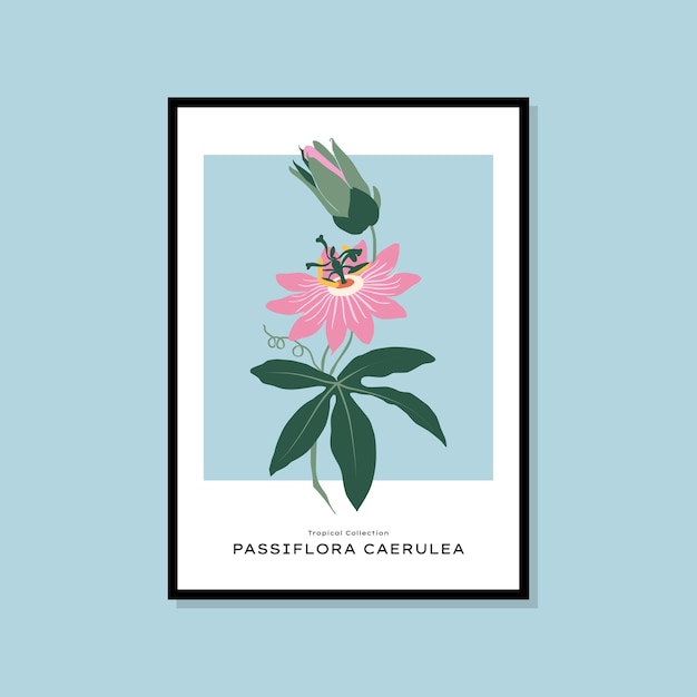 Passiflora Caerulea Flower Art on Pale Blue Background | Jiffy Designs
