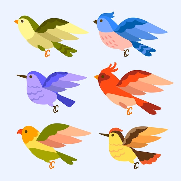 Vibrant Collection of Stylized Bird Illustrations | Jiffy Designs