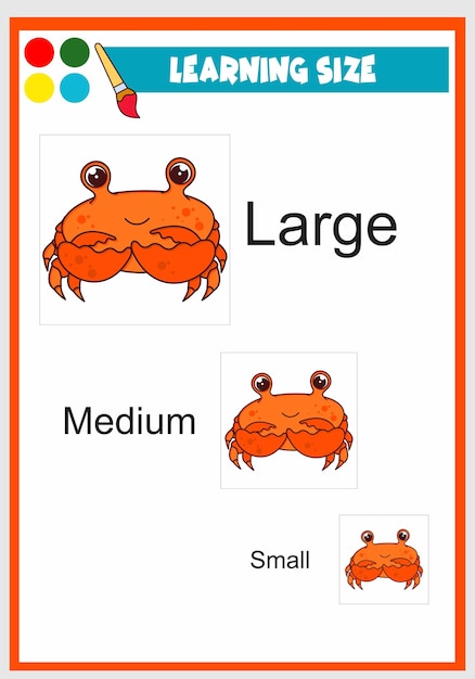 Vibrant Crab Sizing Guide for Learning and Fun | Jiffy Designs