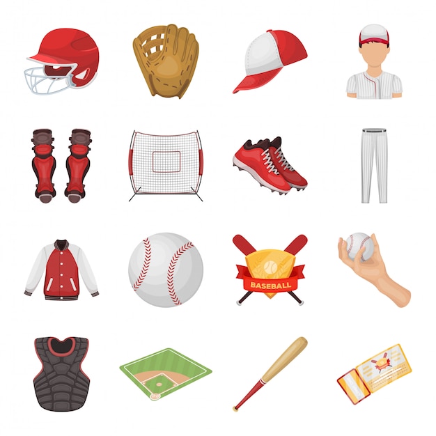 Vibrant Collection of Baseball Gear and Equipment | Jiffy Designs