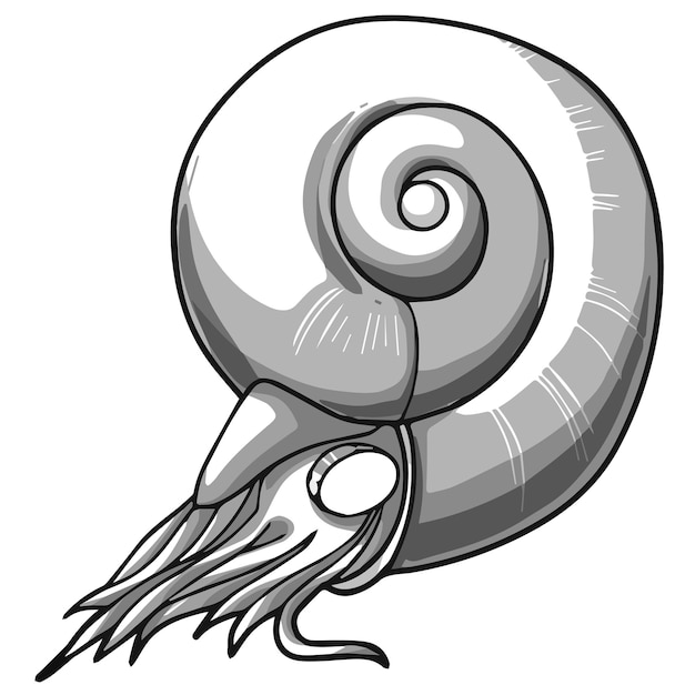 Elegant Spiral Shell Illustration in Grayscale | Jiffy Designs