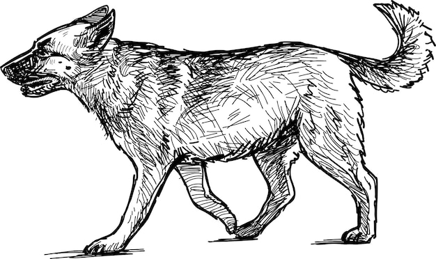 Fierce and Majestic Wolf Prowling Through the Wilderness | Jiffy Designs