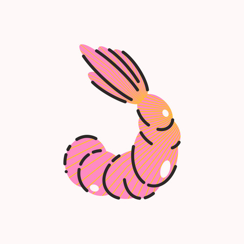 Stylish Vector Print, Postcard, Boiled Shrimp Illustration | Jiffy Designs