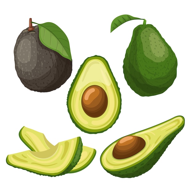 Vibrant Avocado Medley: A Delightful Display of Nature's Bounty | Jiffy ...