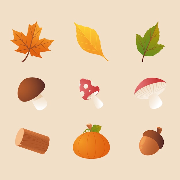 Vibrant Autumn Leaves and Seasonal Elements Collection | Jiffy Designs