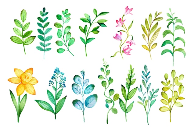 Vibrant Watercolor Floral Greenery and Blossoms Collection | Jiffy Designs