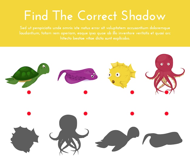Discover the Matching Shadows of Vibrant Sea Creatures | Jiffy Designs