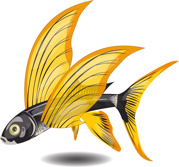 Majestic Golden Winged Fish Illustration | Jiffy Designs