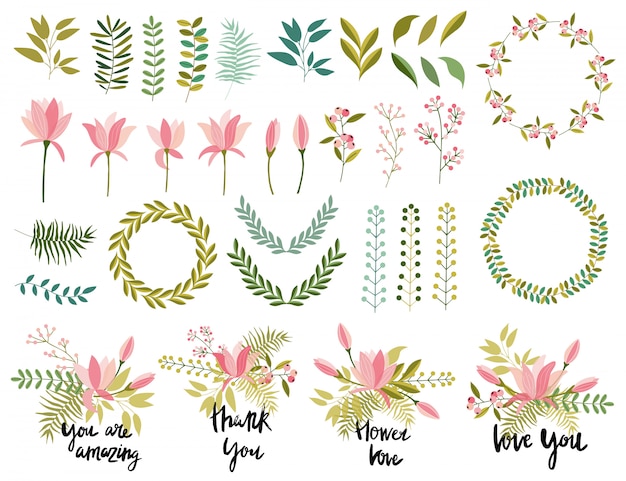 Vibrant Botanical Elements and Handwritten Calligraphy Designs ...