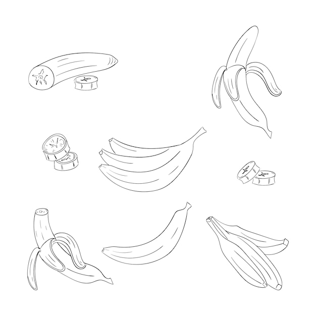 Vibrant Banana Collection: A Playful Assortment of Iconic Fruit | Jiffy ...