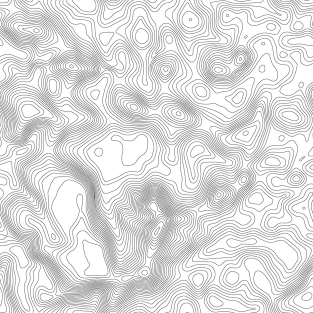 Intricate Topographic Landscape of Flowing Lines | Jiffy Designs