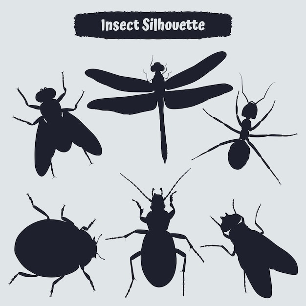 Insect Silhouette Collection: Diverse Arthropod Shapes in Monochrome ...