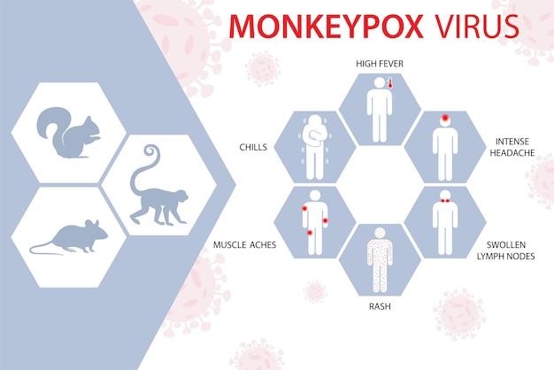 Monkeypox Virus Symptoms: A Detailed Visual Guide | Jiffy Designs