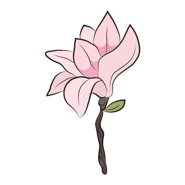 Delicate Pink Lotus Flower with Curving Stem Illustration | Jiffy Designs
