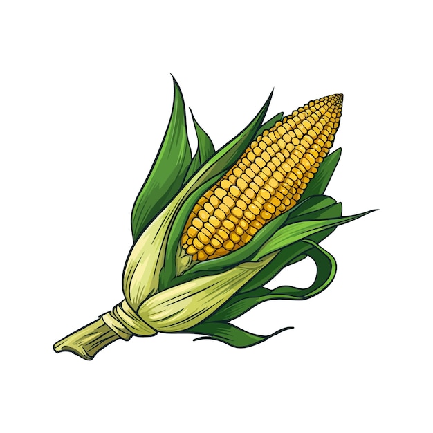 Vibrant and Bountiful Corn Cob with Lush Foliage | Jiffy Designs