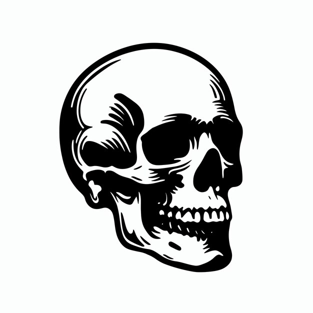 Striking Monochrome Skull Illustration with Expressive Features | Jiffy ...