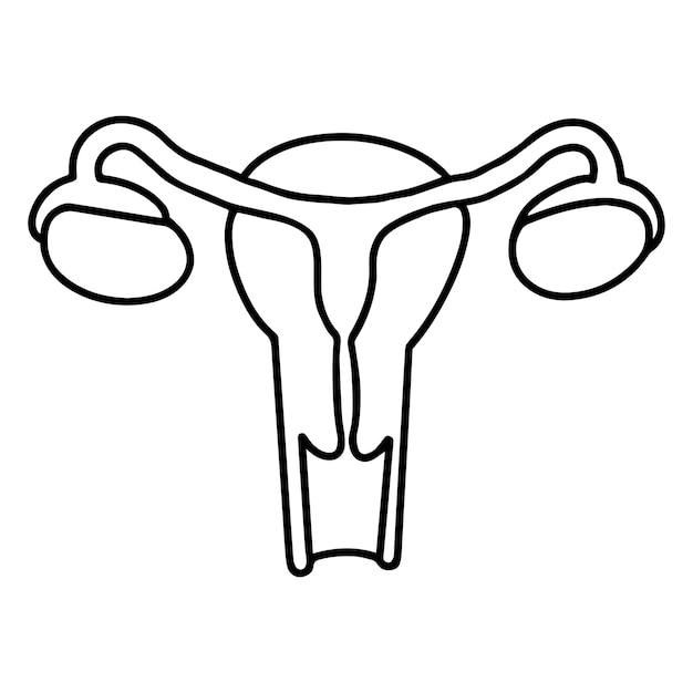 Minimalist Outline of a Female Reproductive Organ | Jiffy Designs