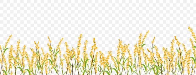 Golden Wheat Field Seamless Horizontal Border Design | Jiffy Designs