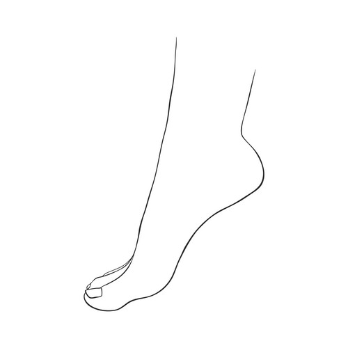 Line Drawing Woman Foot Isolated At White Background, Hand Drawn ...