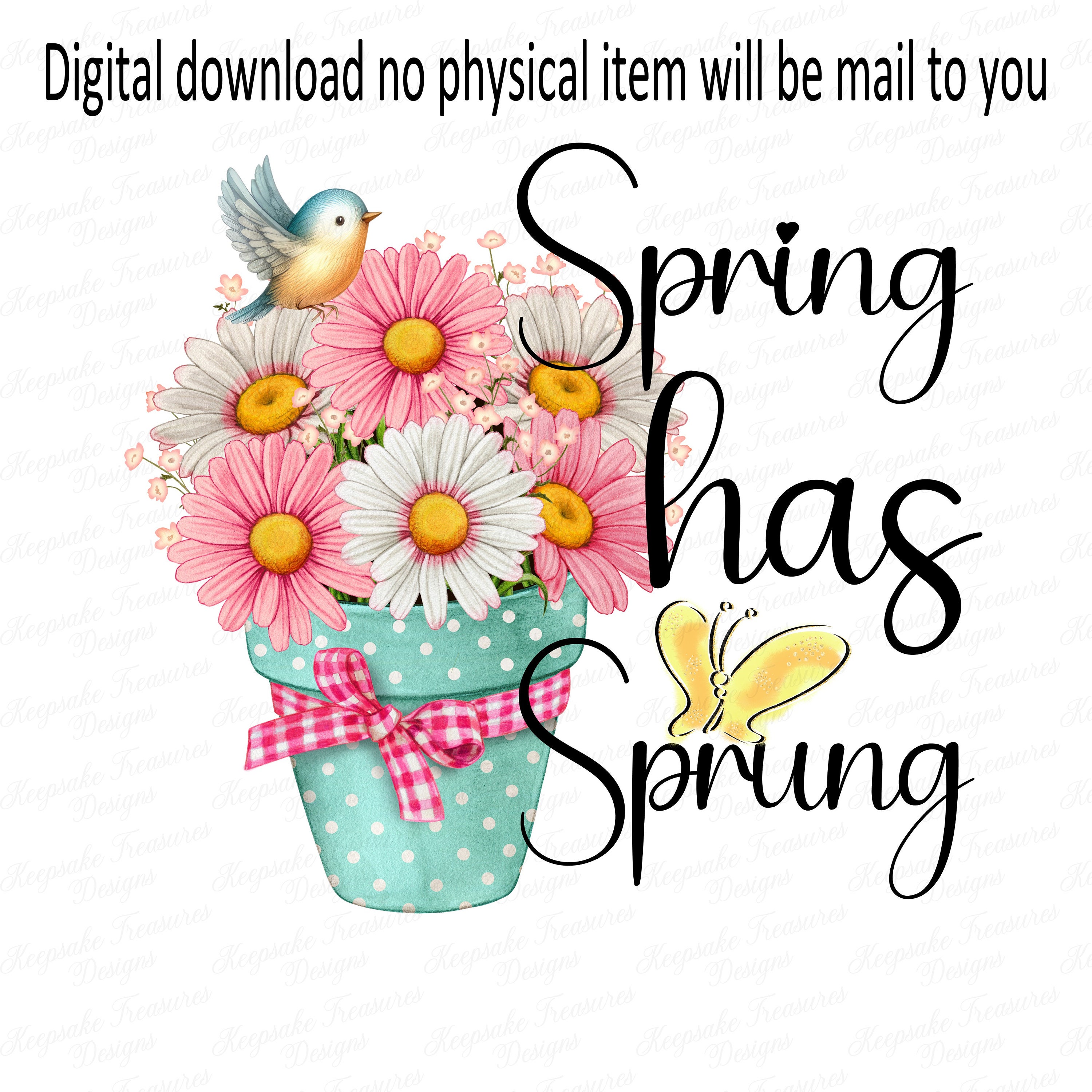 Spring Has Sprung PNG Sublimation Designs, Spring Shirt Design, Spring ...