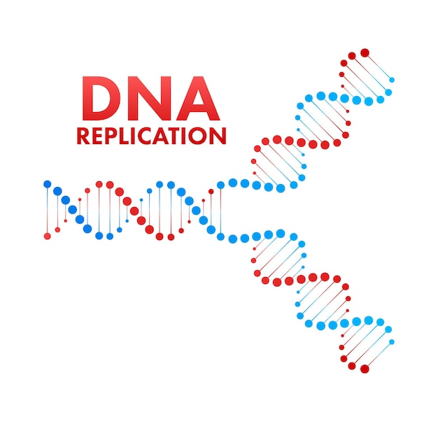Captivating Visualization of DNA Replication Process | Jiffy Designs