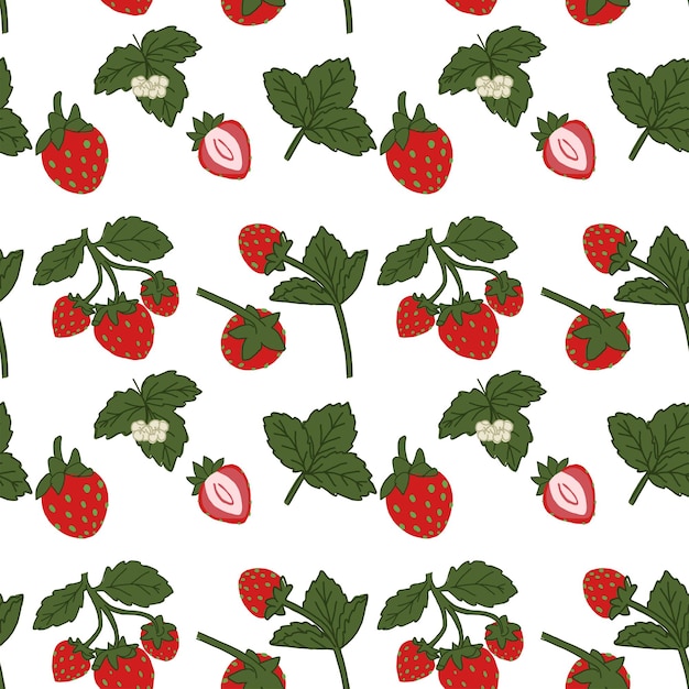 Vibrant Strawberry Patch with Lush Foliage | Jiffy Designs
