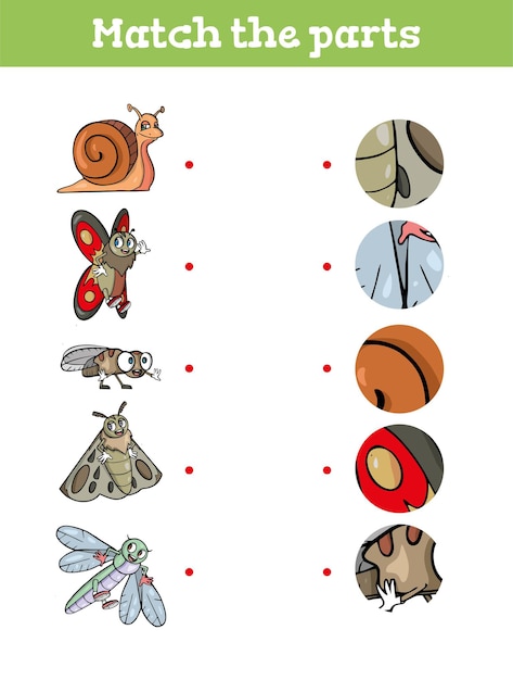 Charming Assortment of Whimsical Creature Parts | Jiffy Designs