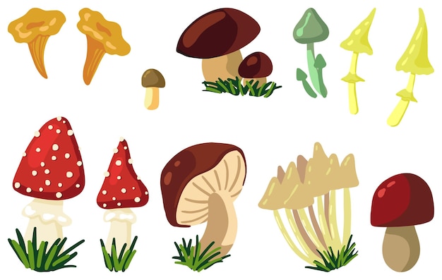Vibrant Mushroom Collection: Diverse Fungal Varieties in Nature | Jiffy ...