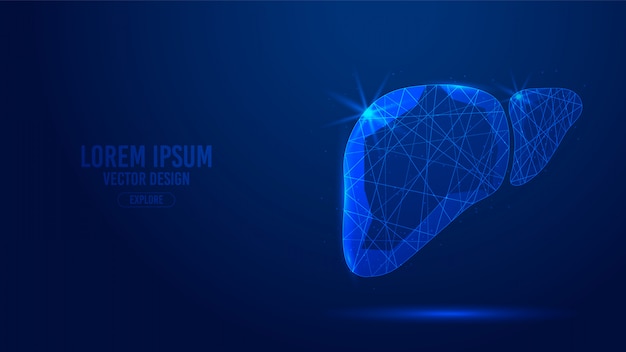 Vibrant Blue Polygonal Liver Icon for Medical Designs | Jiffy Designs